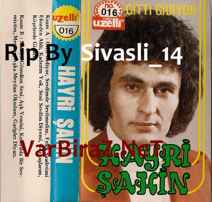 Hayri Şahin - Albümleri - VarBiraZ!NeT
